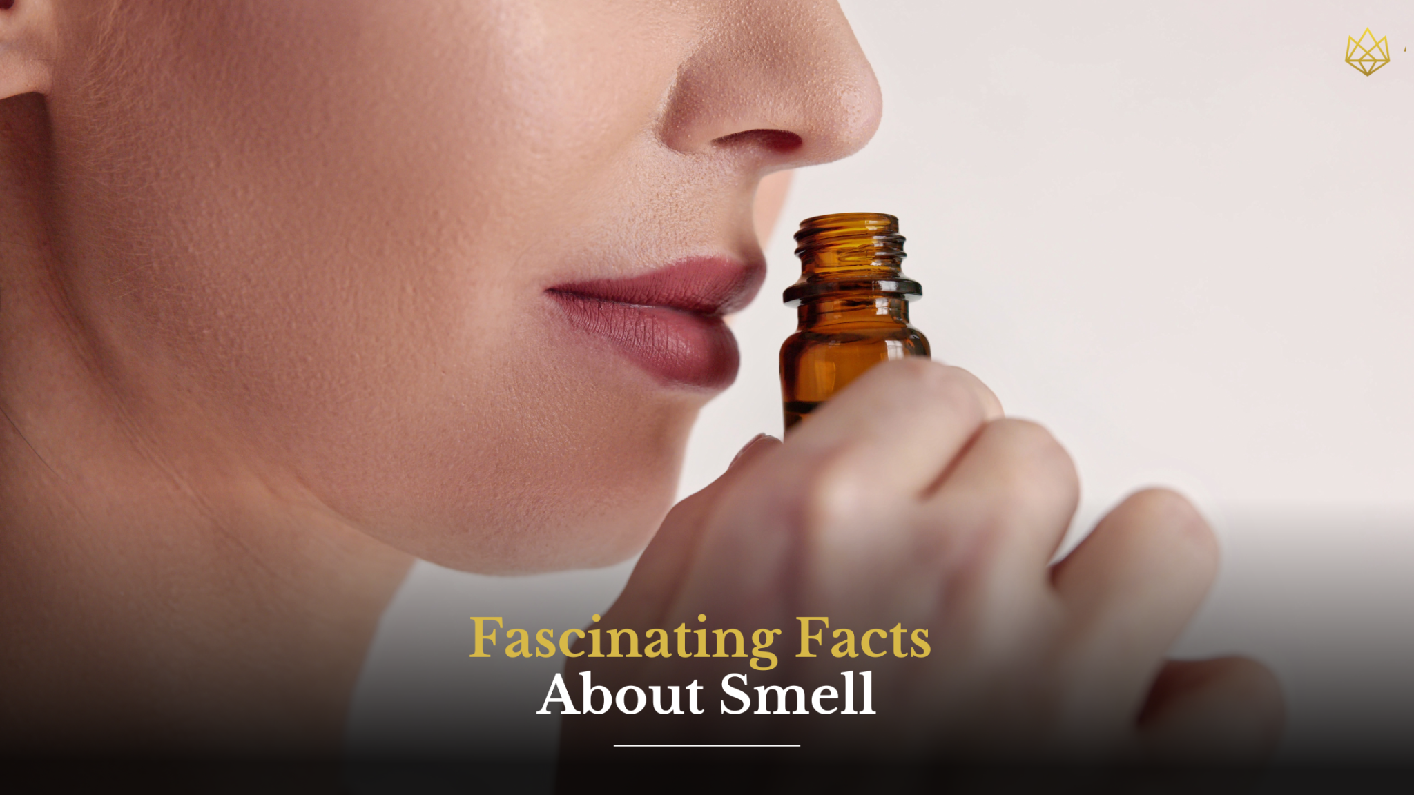 20 Surprising Facts About Your Sense of Smell - Aluminate Life