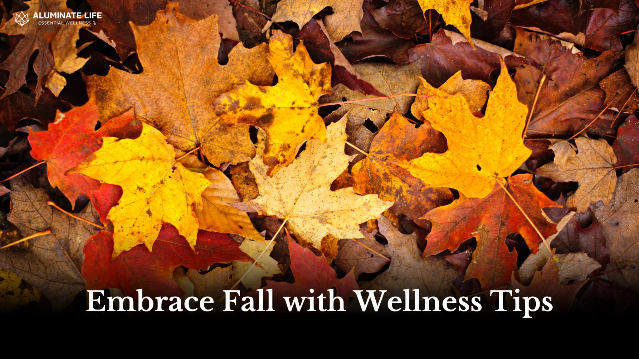 Essential Fall Wellness Tips to Stay Healthy and Energized